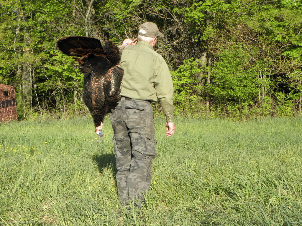 Michigan Turkey Hunting: Then and Now - ThinkingAfield.org